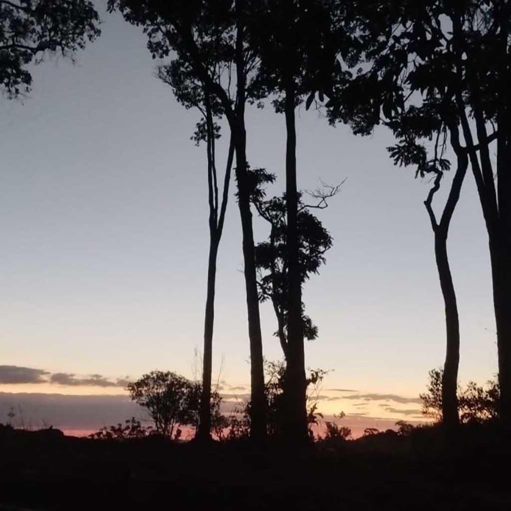CEA Mandembo - EcoVisita